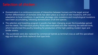 G1 - Genetic Improvement in Poultry..pptx