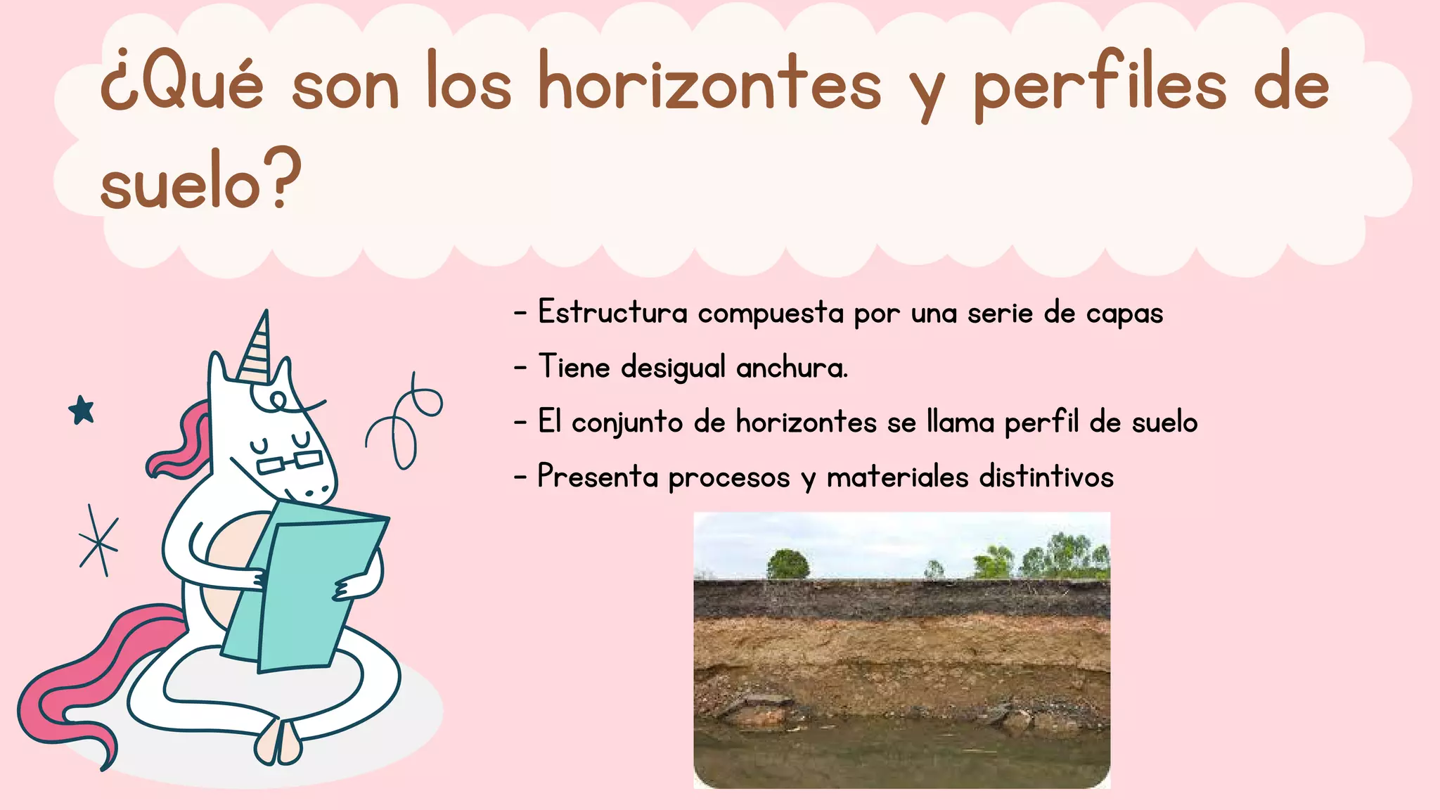 Horizontes y perfiles de suelo | PDF