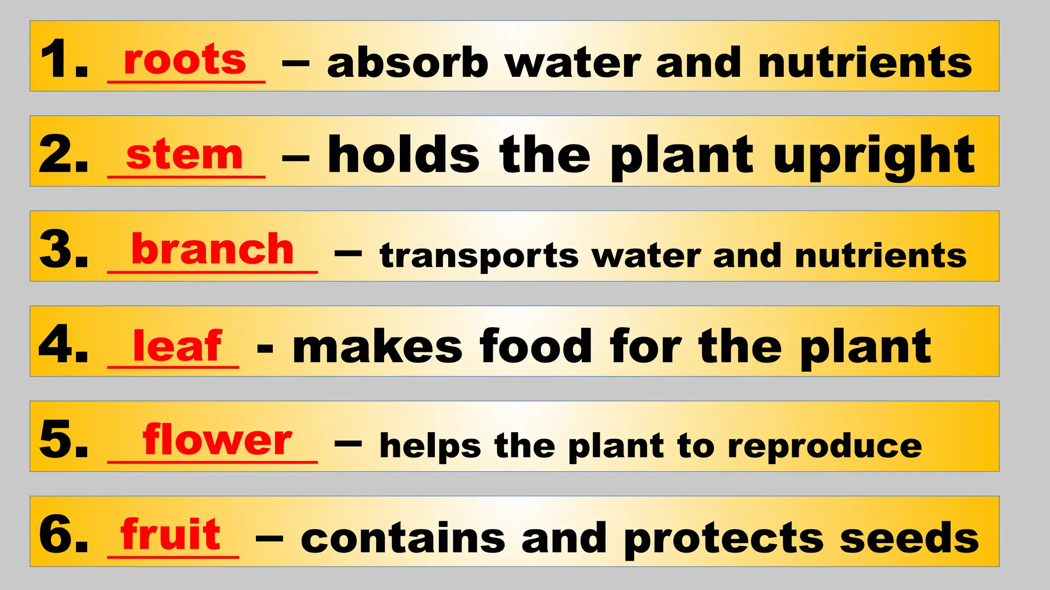 PARTS OF A PLANT GRADE 1 LESSON PLAN PRESENTATION | PPTX