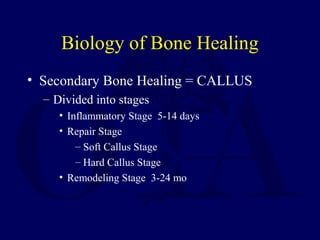 G10 internal fix principles | PPT | First Aid | Injuries