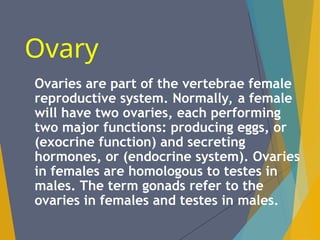 G10-Science-Q3-Week-1-The-Female-Reproductive-System.ppt