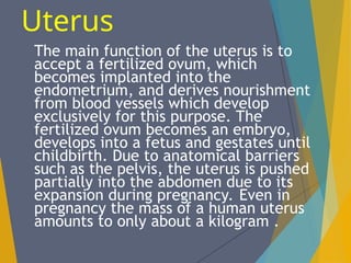 G10-Science-Q3-Week-1-The-Female-Reproductive-System.ppt