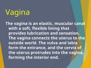 G10-Science-Q3-Week-1-The-Female-Reproductive-System.ppt