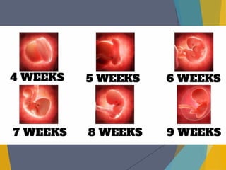 G10-Science-Q3-Week-1-The-Female-Reproductive-System.ppt