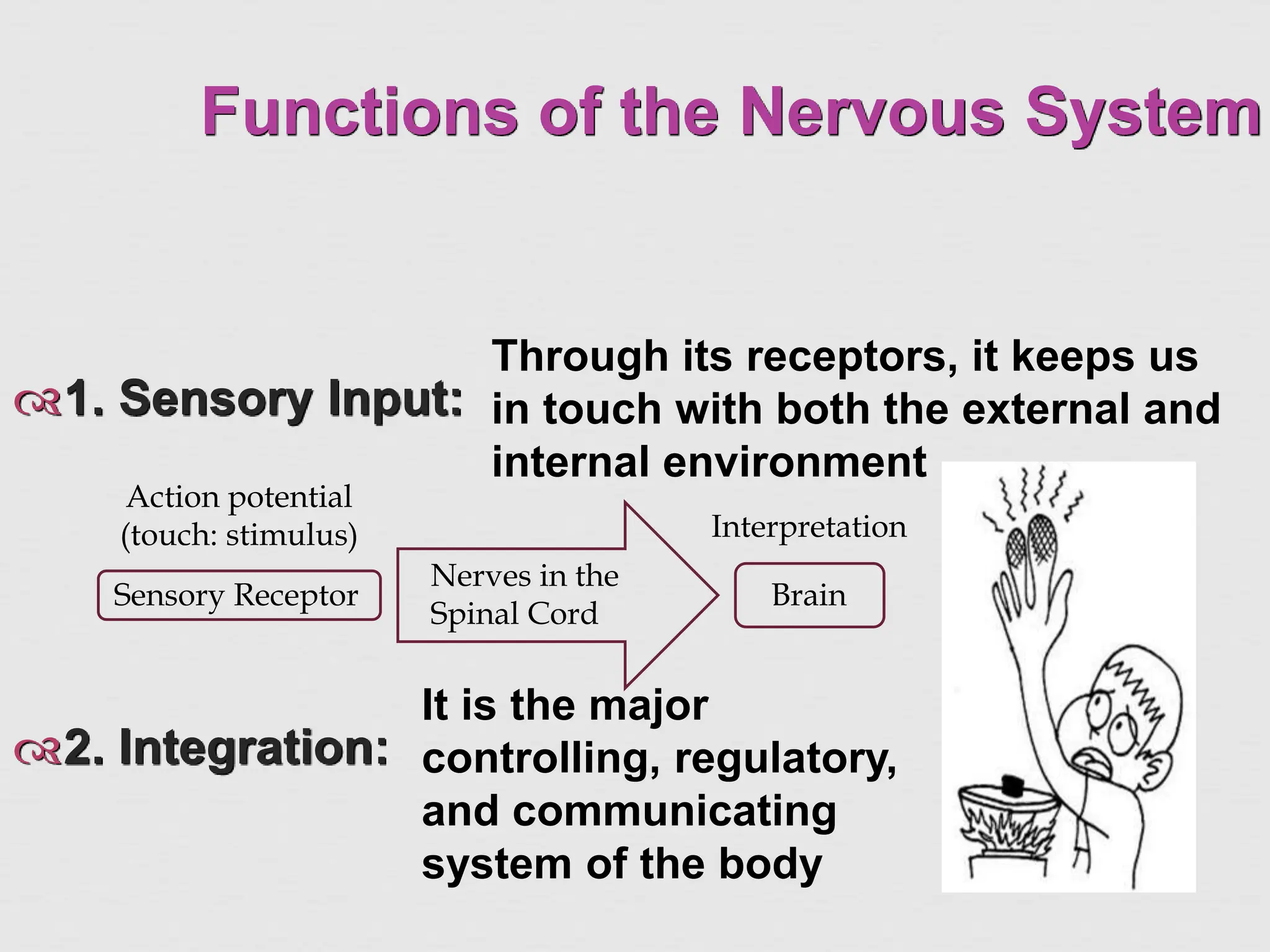 G10-Science-Q3-Week-3-Nervous-System.pptx