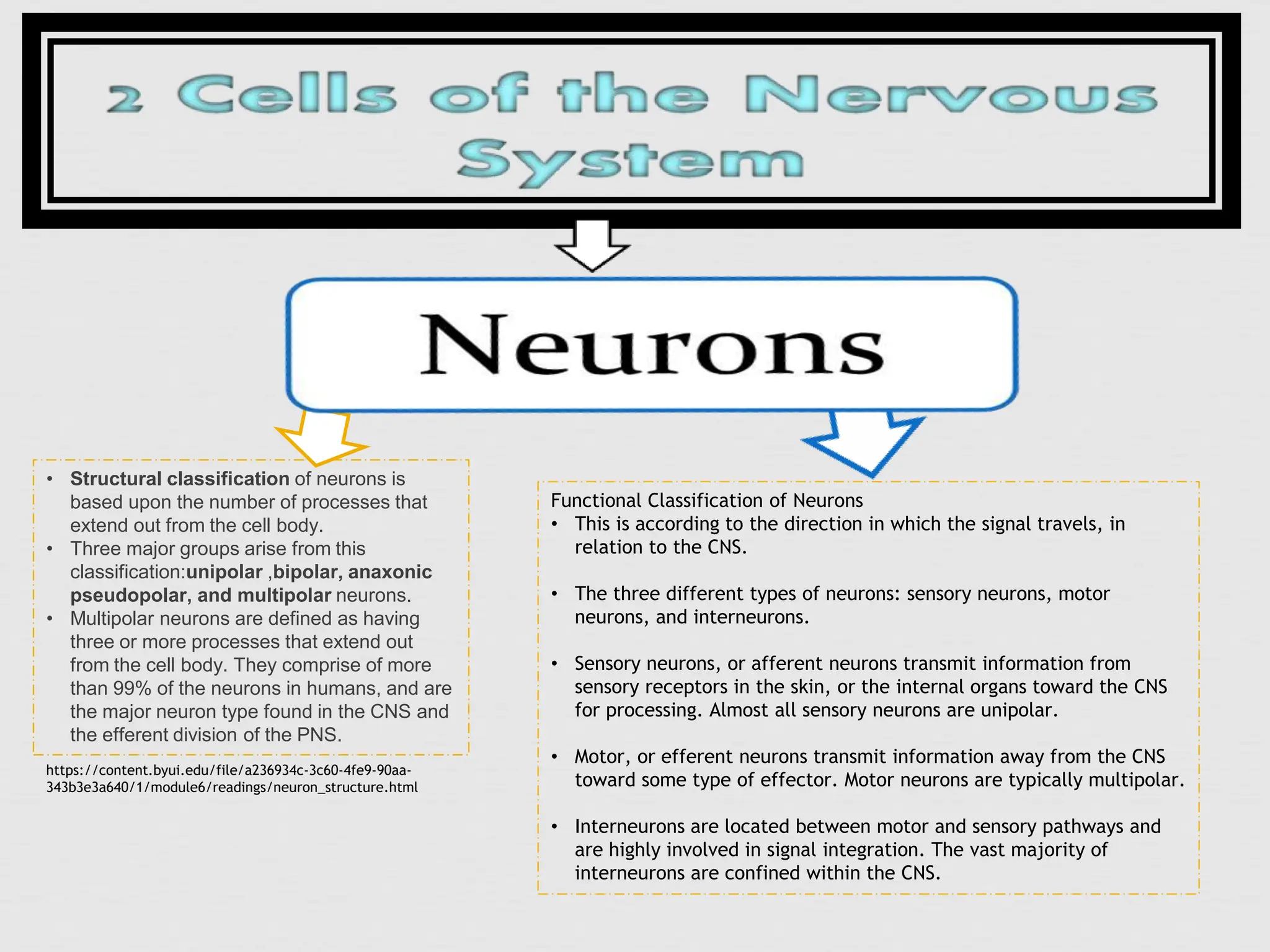 G10-Science-Q3-Week-3-Nervous-System.pptx
