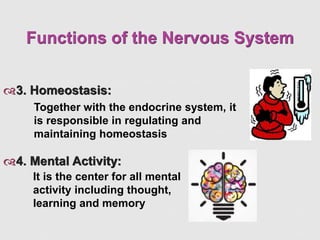 G10-Science-Q3-Week-3-Nervous-System.pptx