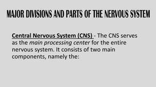 nervous system.pptx
