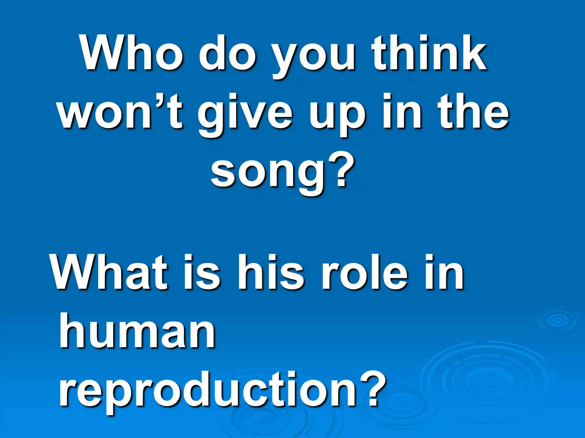 Male Reproductive System Ppt Pptx