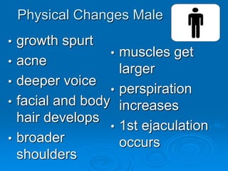 Male reproductive system ppt | PPTX
