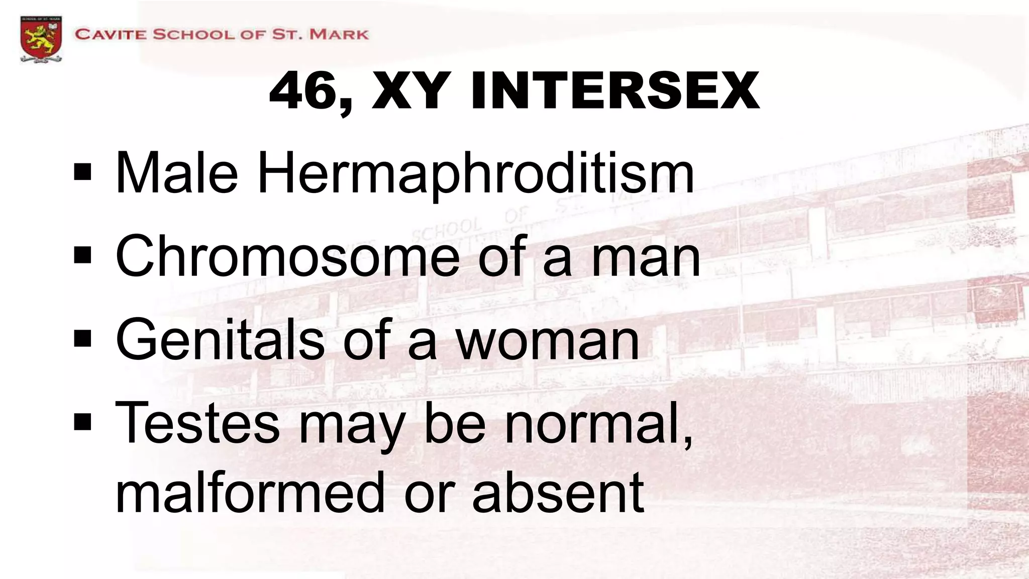 Male Reproductive System | PPTX