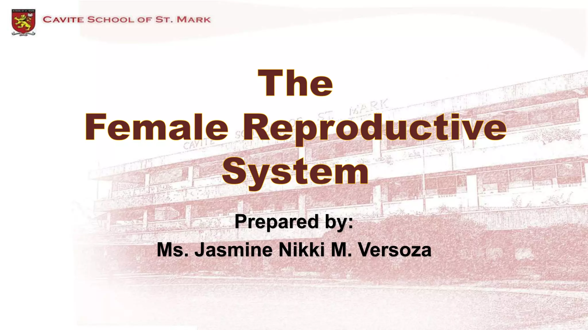 Female Reproductive System | PPTX