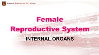 Female Reproductive System | PPTX