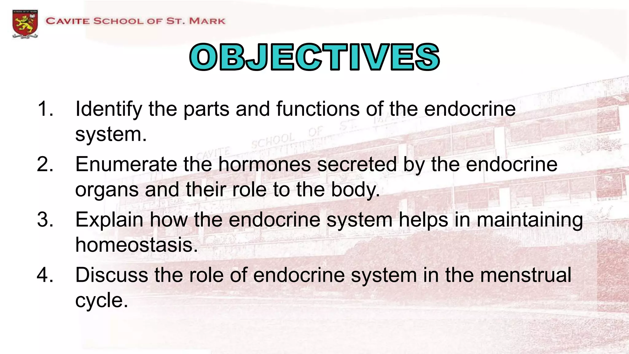 Endocrine System And Exocrine Glands Ppt