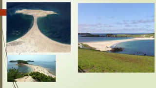 Comprehensive Study of Coastal Landforms: Erosion, Deposition, and ...