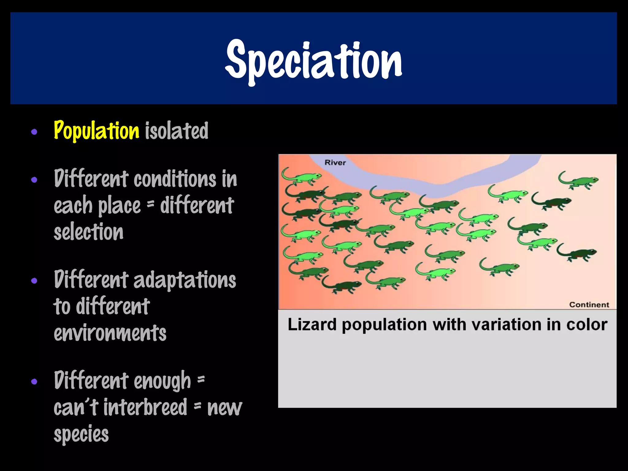Grade 10 Evolution | PPT