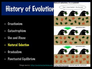 Grade 10 Evolution | PPT