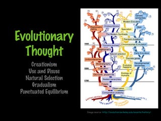 Grade 10 Evolution | PPT