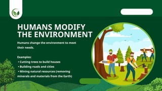 Human Environment System And Right Way of Disposing.pptx