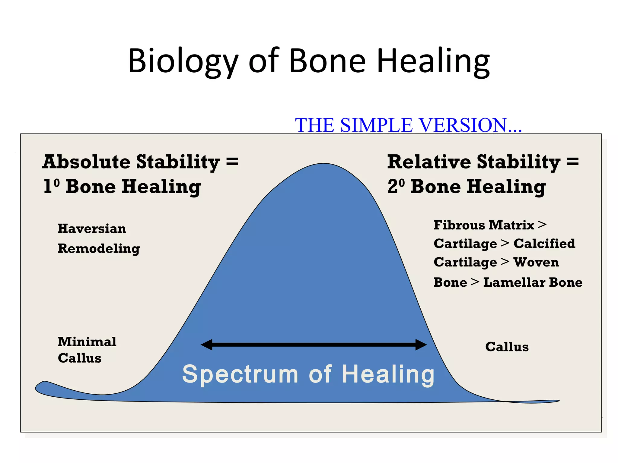 principles of internal fixation | PPT