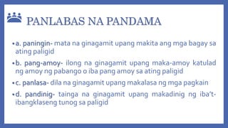 G10_M1_Ang Mataas na Gamit at Tunguhin ng Isip at Kilos-loob.pptx