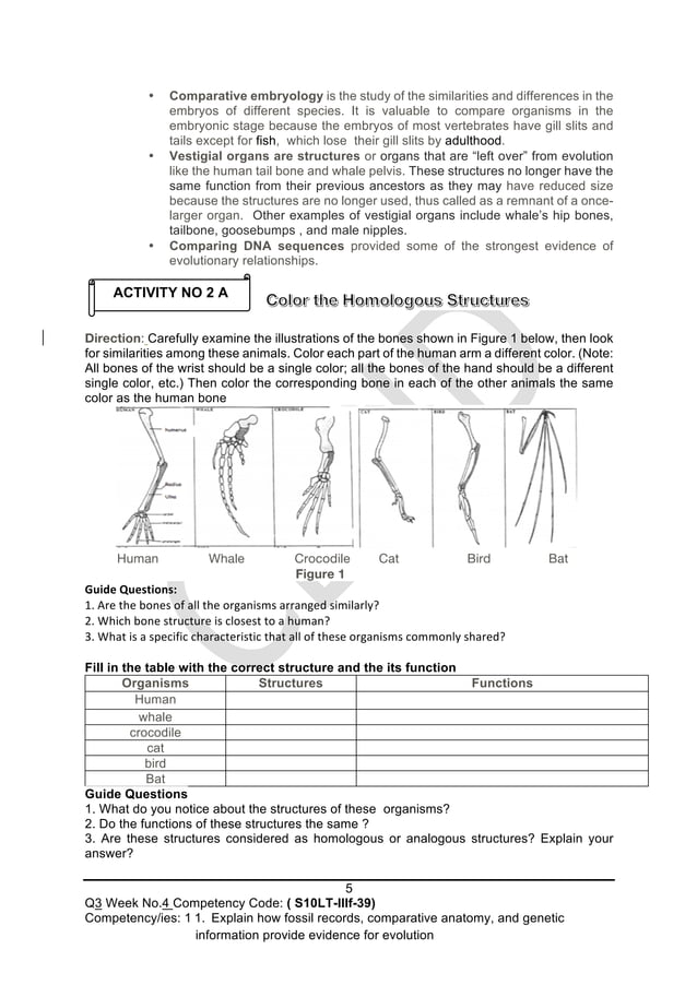 G10 q3 w5_biodiversity _ evolution_removed | PDF