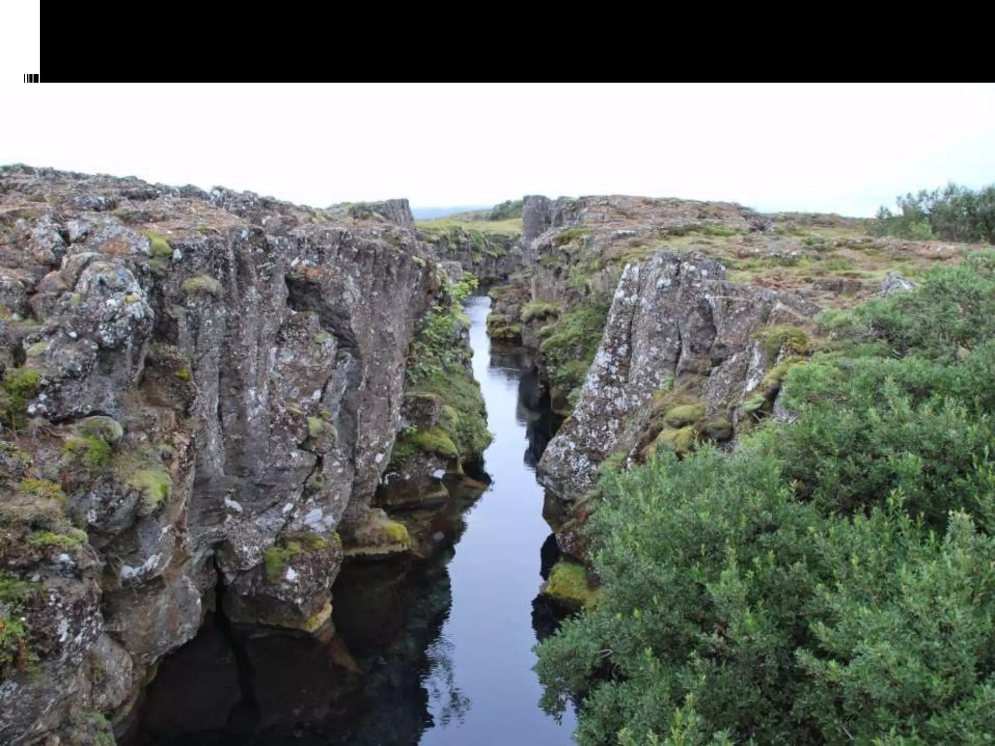 PLATE TECTONICS(GRADE10SCIENCE 1STQUARTER MODULE1) | PPTX