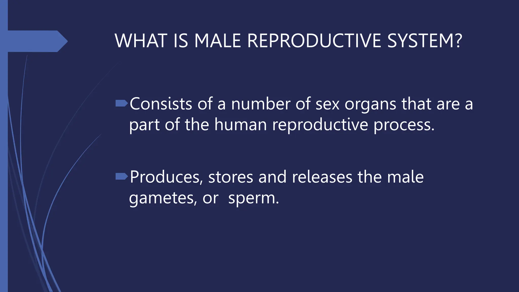 G10 Science Q3- Week 1- Male Reproductive System (1).pptx