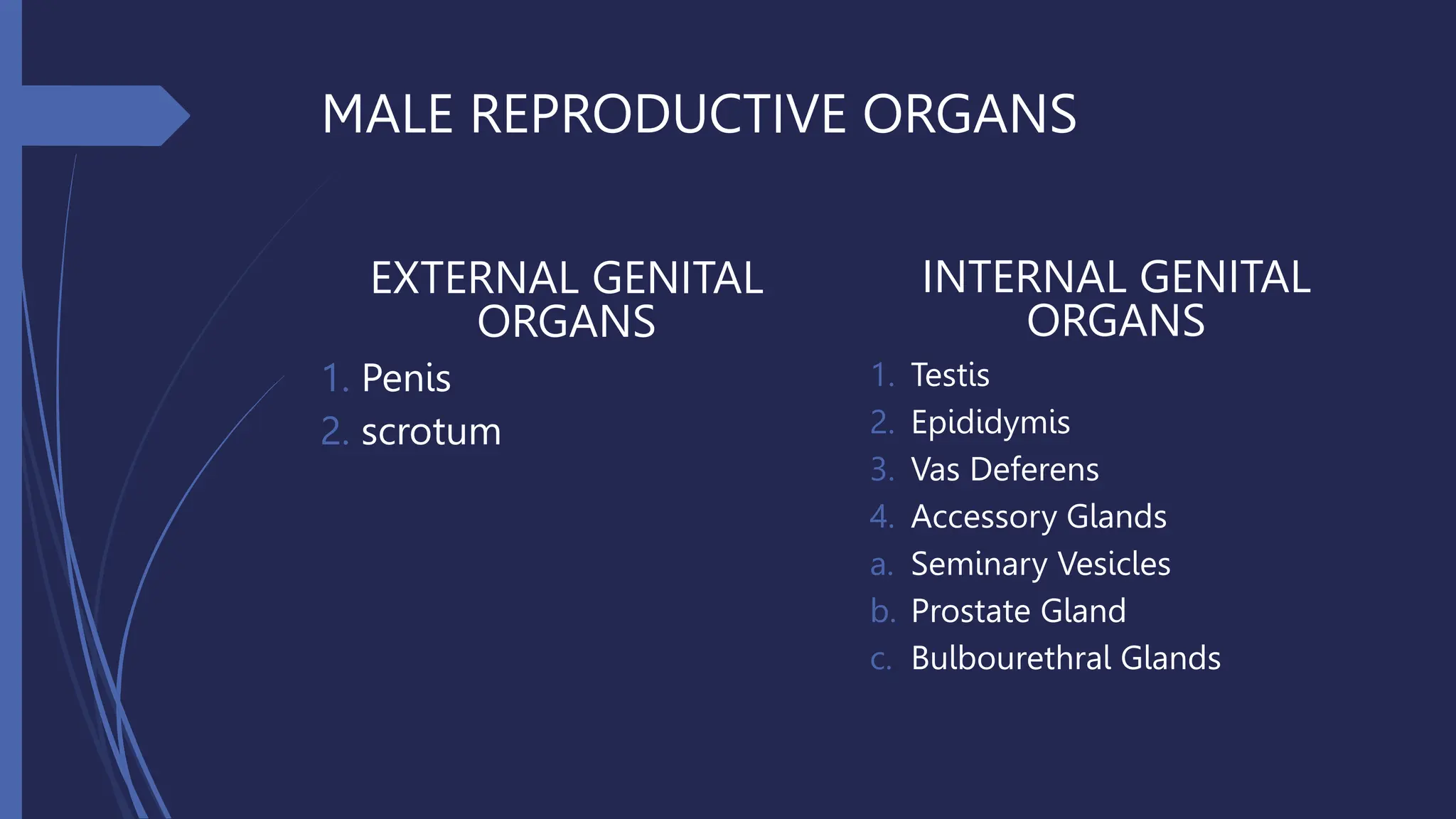 G10 Science Q3- Week 1- Male Reproductive System (1).pptx