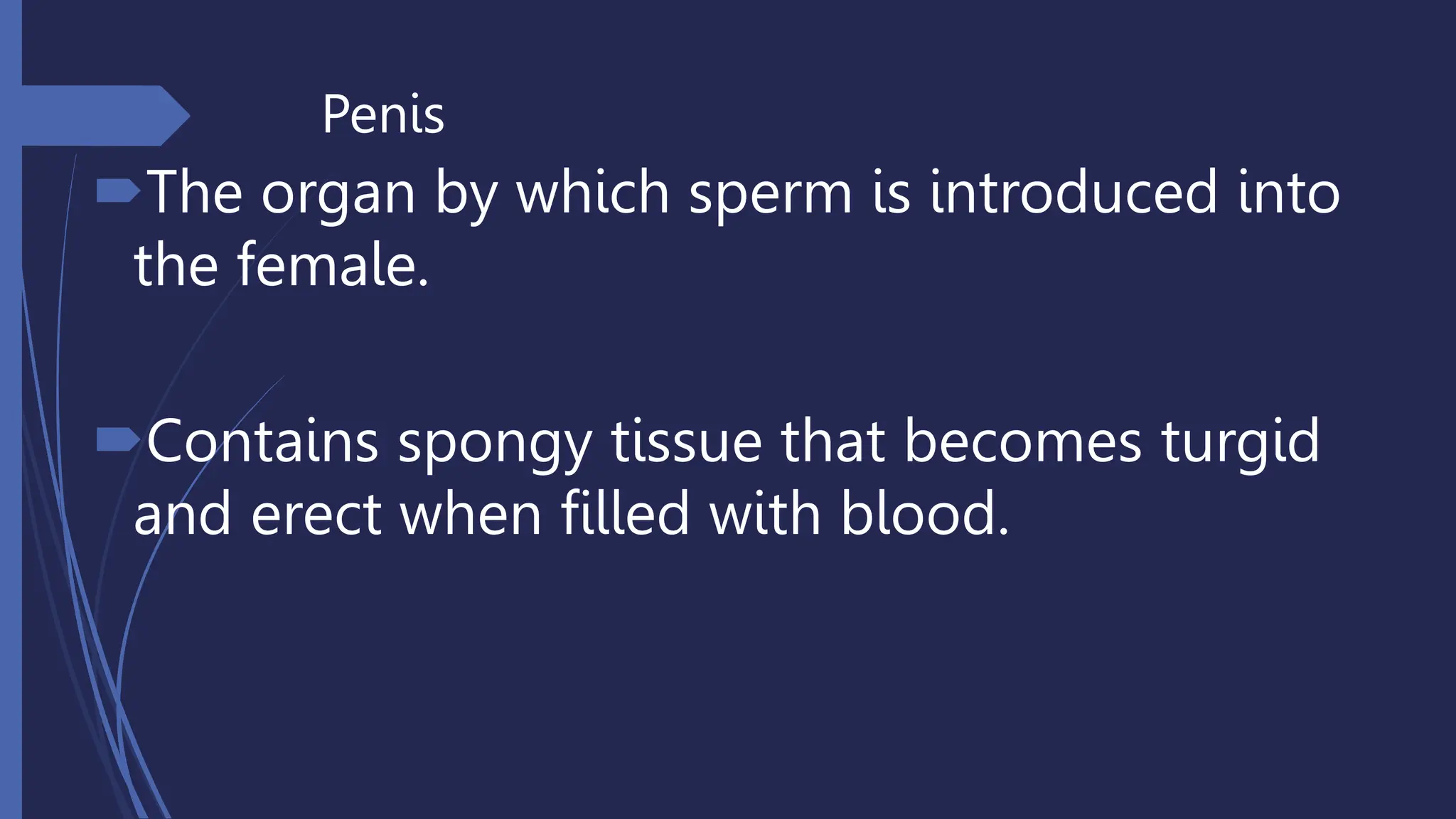 G10 Science Q3- Week 1- Male Reproductive System (1).pptx