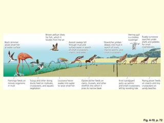 G10 Science Q3- Week 6- Occurence of Evolution.ppt