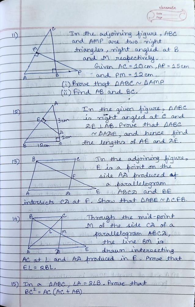 ICSE Grade 10 Mathematics Similarity Worksheet (MLA) | PDF