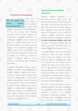 G11-Biology-STB-2023-web.pdf