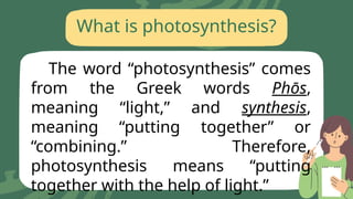G11-powerpoint presentationPhotosynthesis.pptx