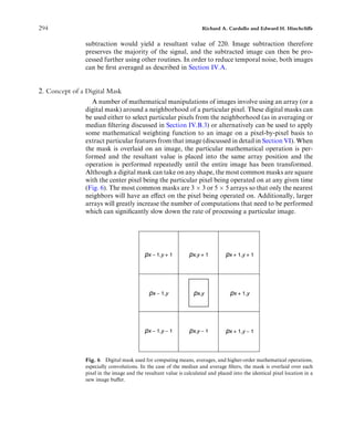 GRUPO 1 : digital manipulation of bright field and florescence images ...