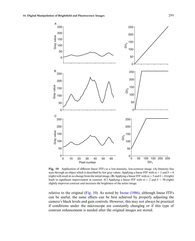 GRUPO 1 : digital manipulation of bright field and florescence images noise reduction contrast ...
