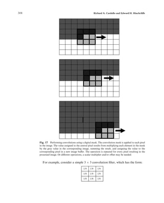 GRUPO 1 : digital manipulation of bright field and florescence images noise reduction contrast ...