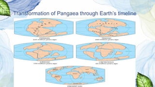 G11 continental drift.pptx