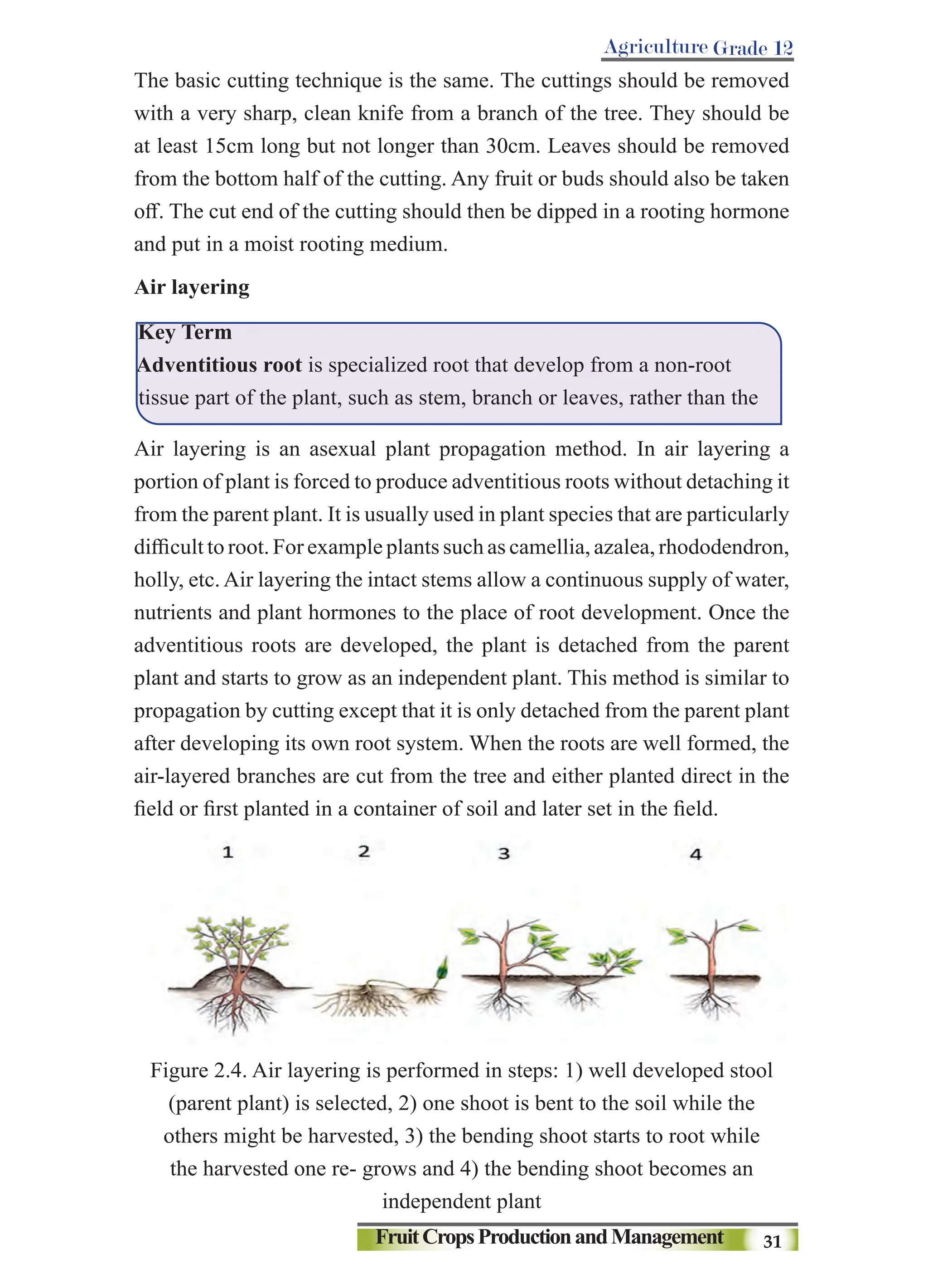 G12-Agriculture-STB-2023-web.pdf Agriculture text book | PDF