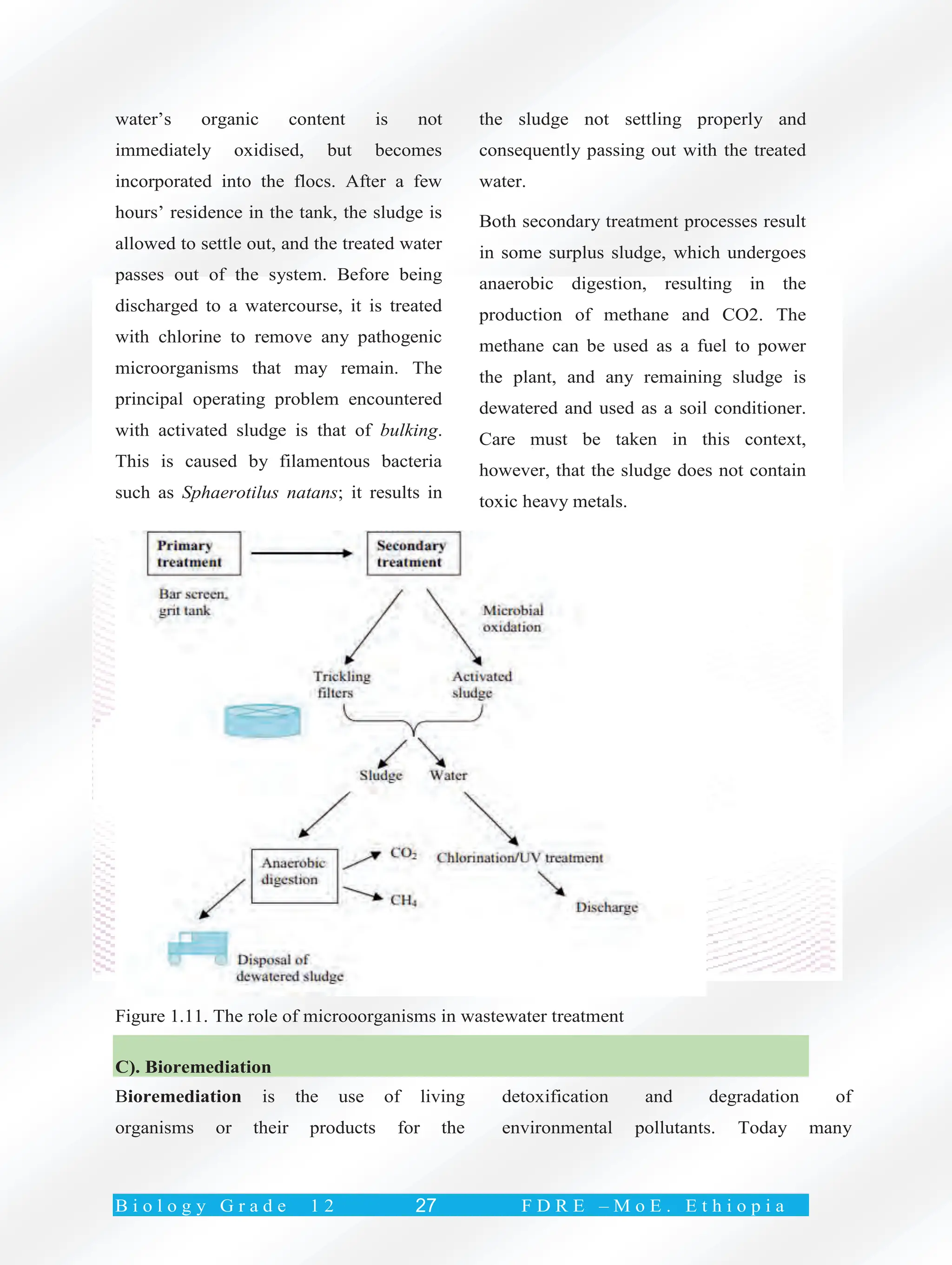 G12-Biology-STB-2023-web text for students | PDF