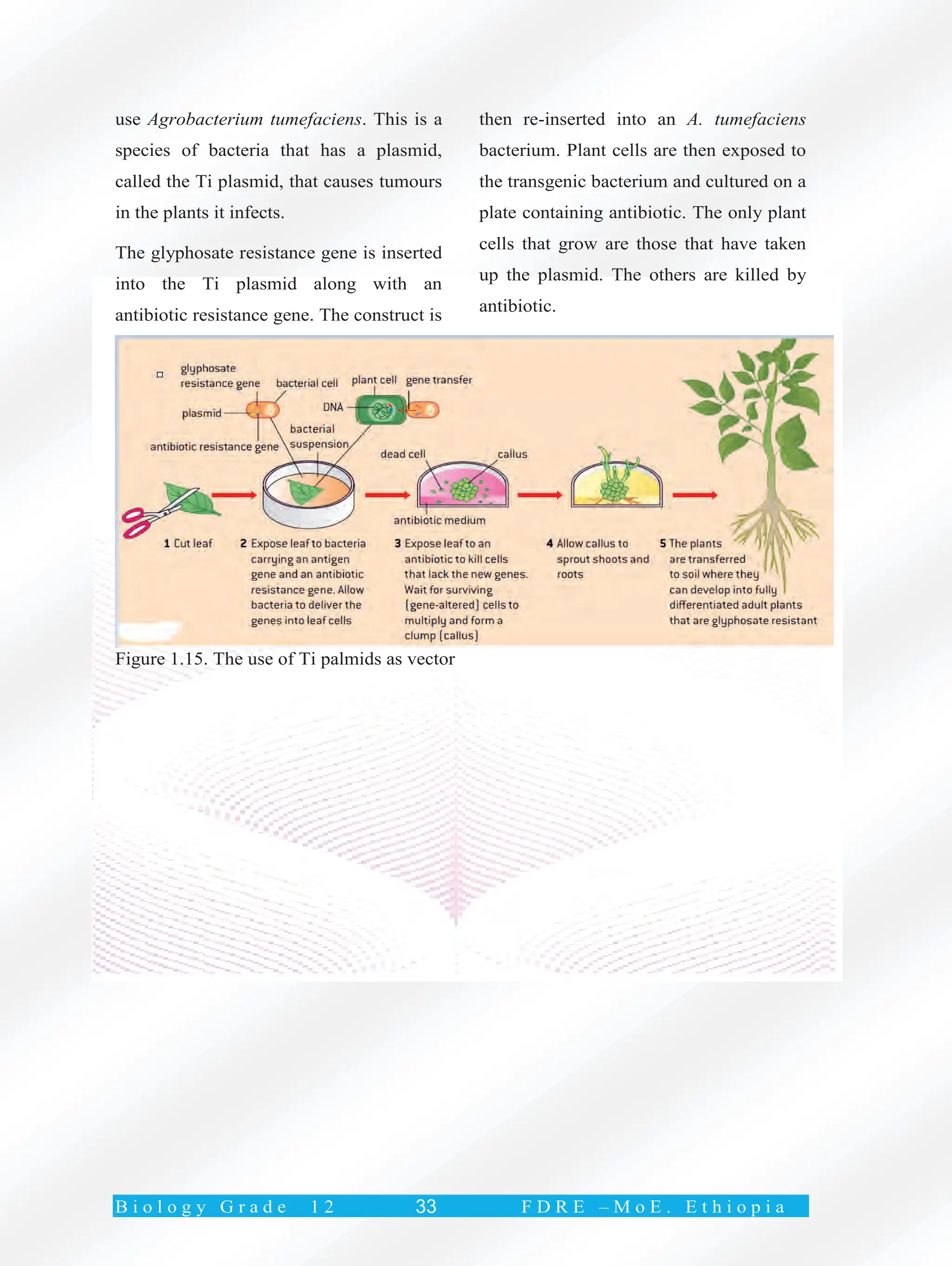 G12-Biology-STB-2023-web text for students | PDF
