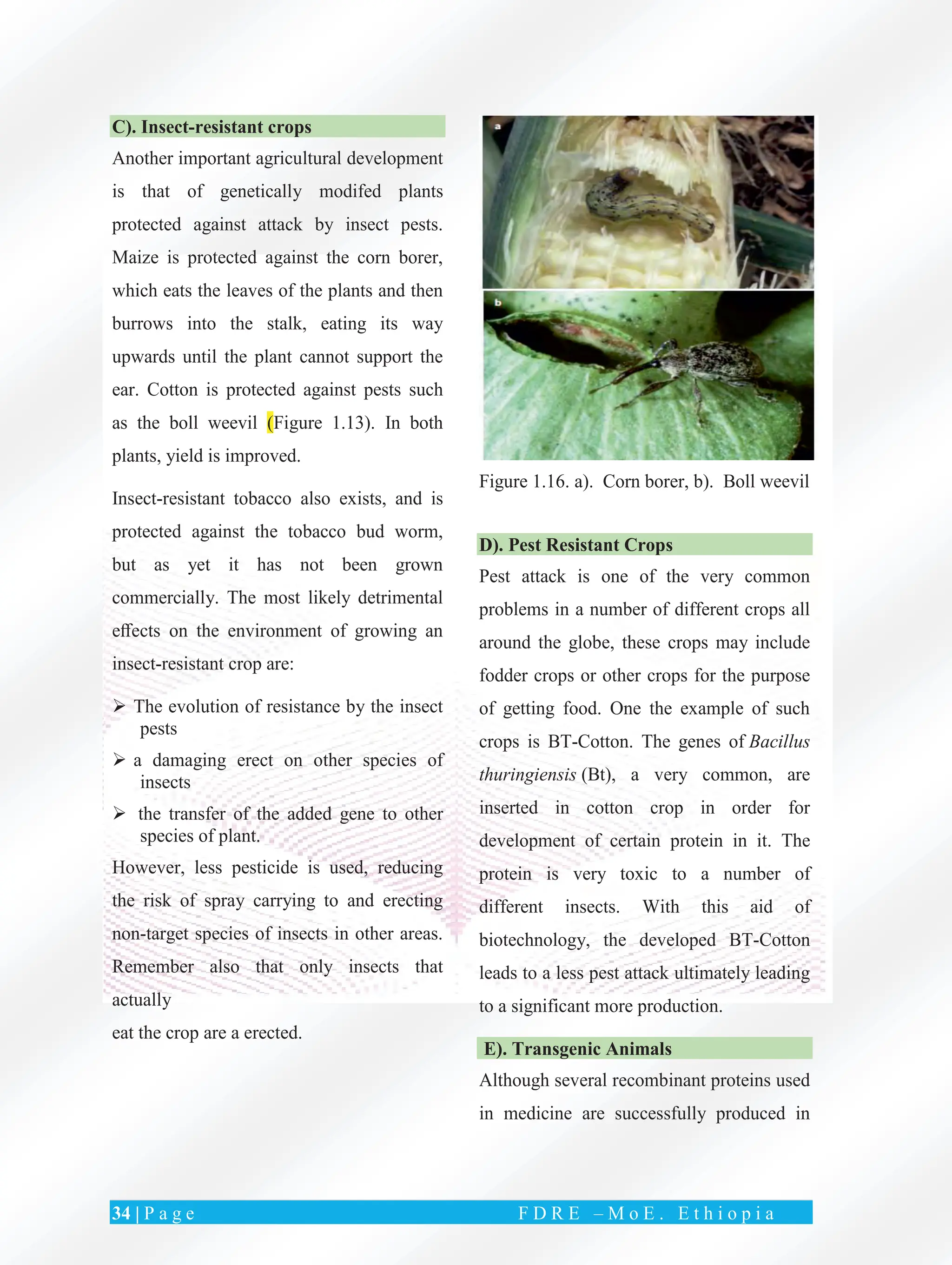 G12-Biology-STB-2023-web text for students | PDF