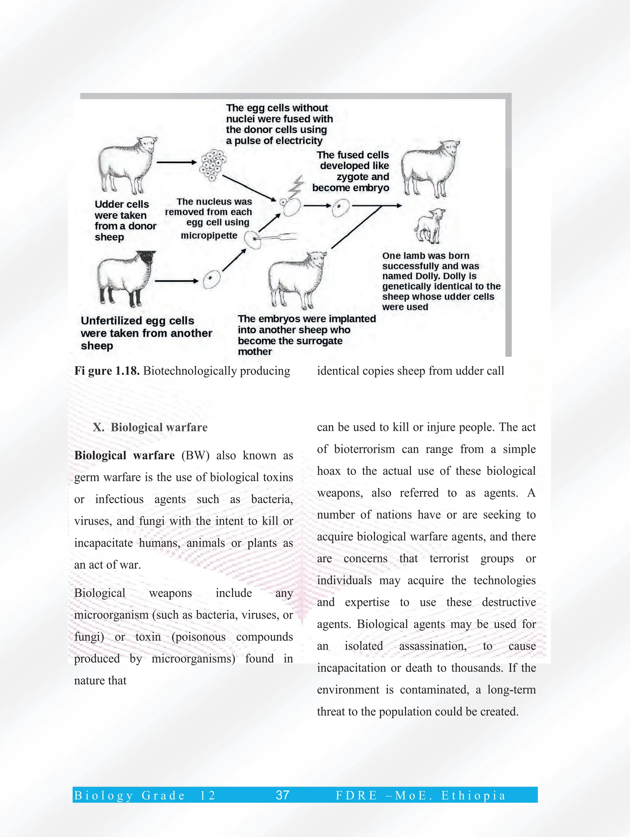 G12-Biology-STB-2023-web text for students | PDF