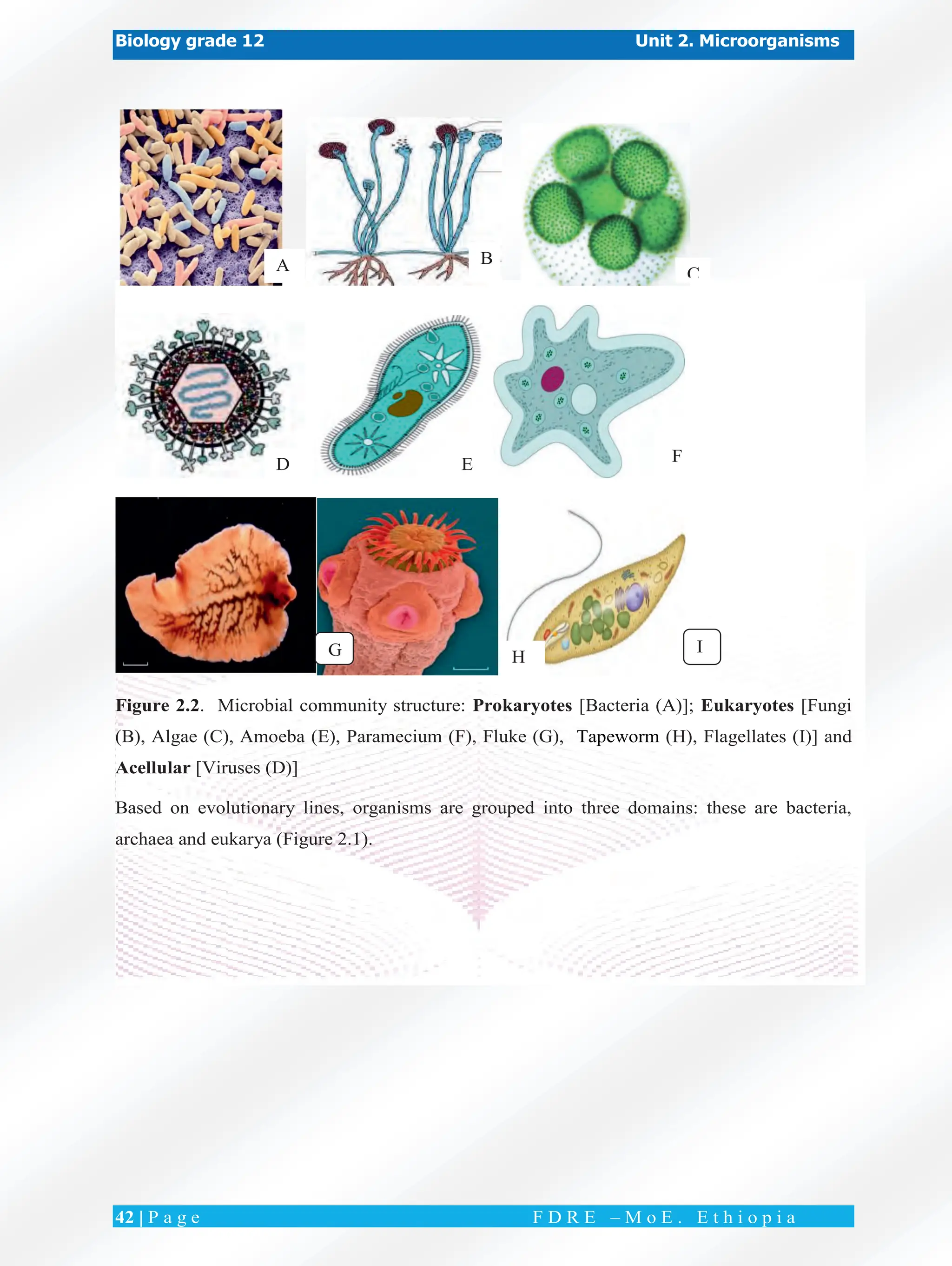G12-Biology-STB-2023-web text for students | PDF | Brain and Nervous ...