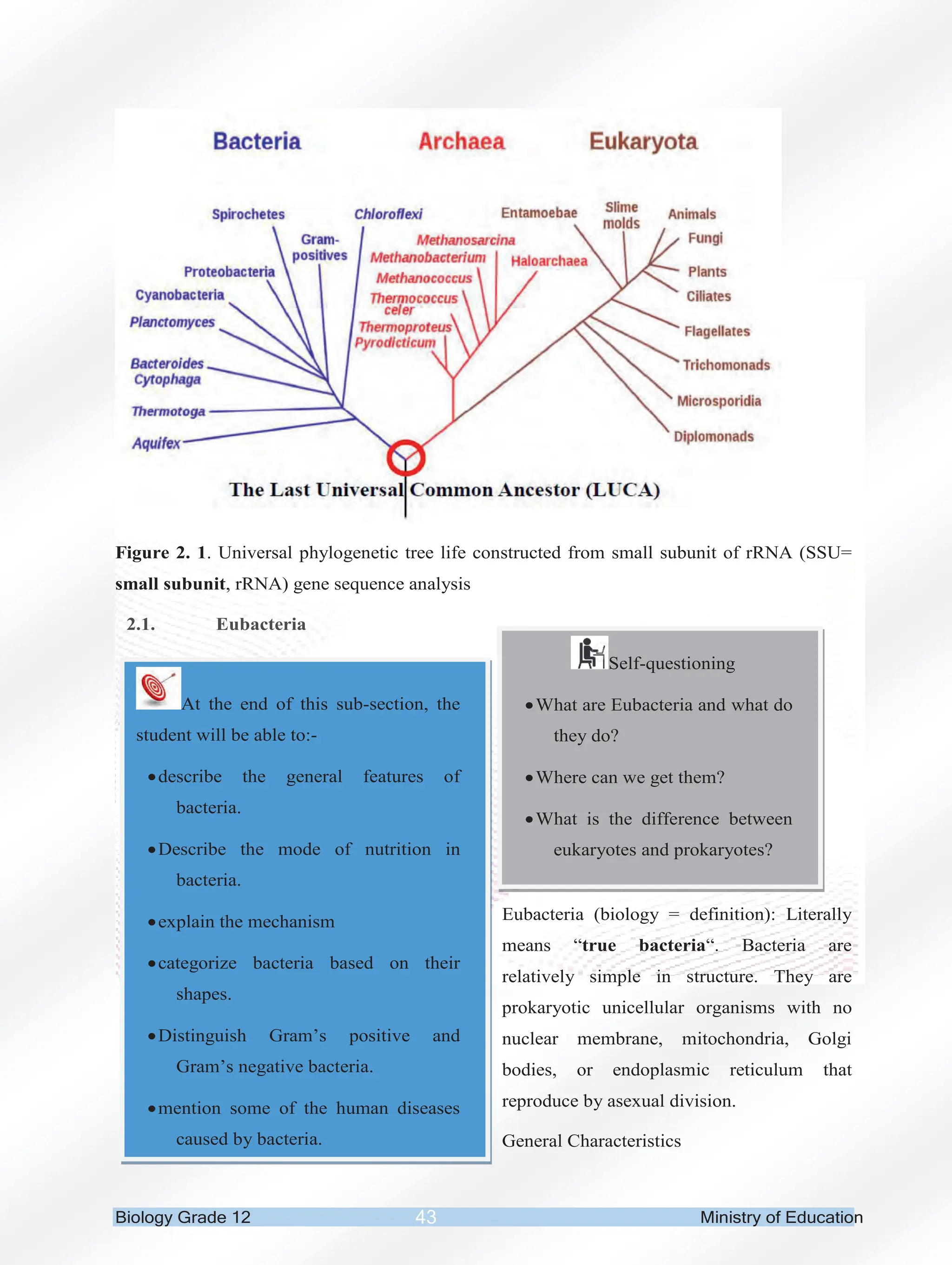 G12-Biology-STB-2023-web text for students | PDF | Brain and Nervous ...