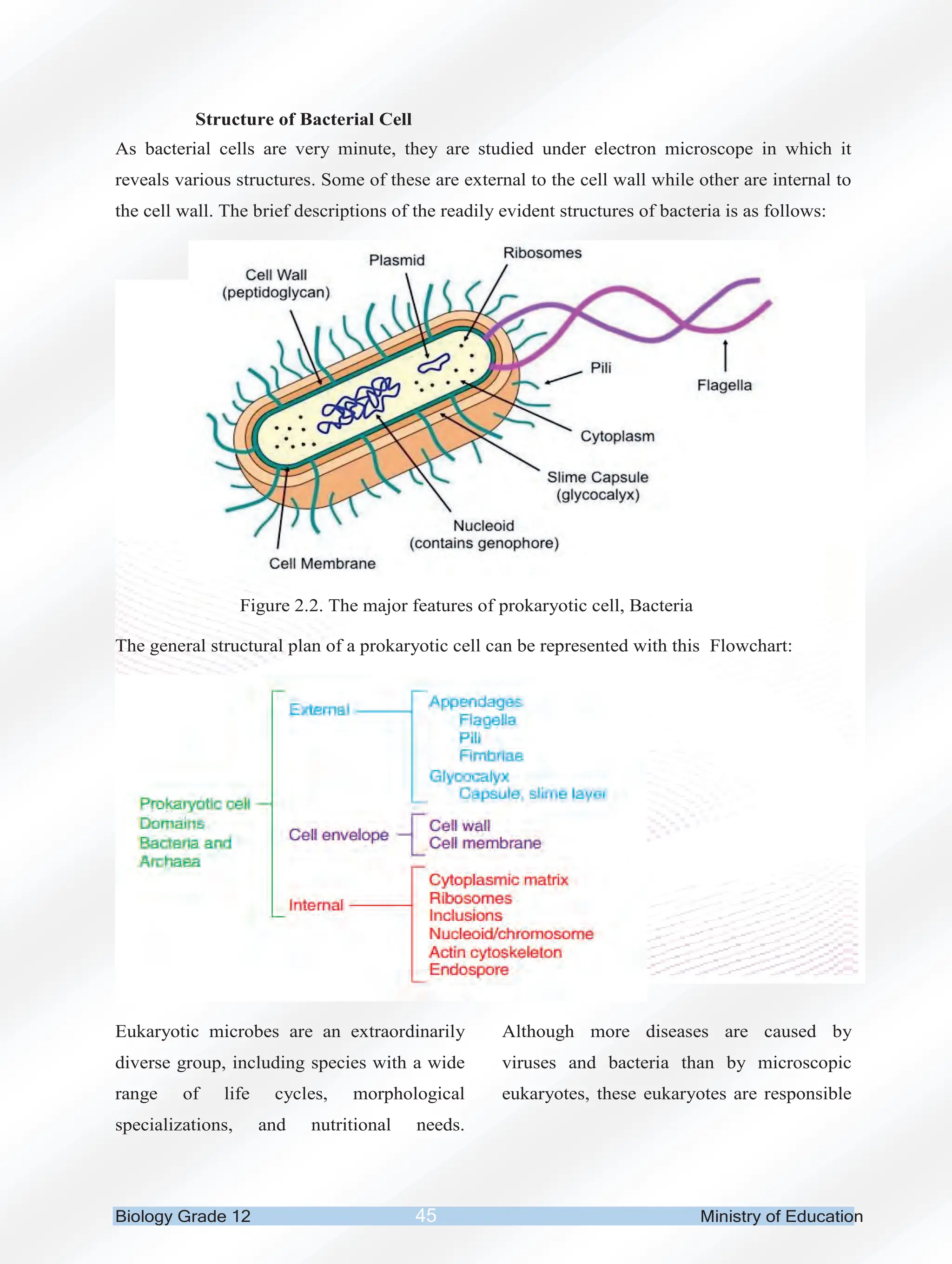 G12-Biology-STB-2023-web text for students | PDF