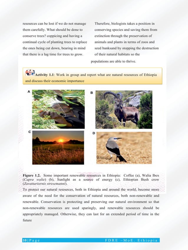 G12-Biology-STB-2023-web text for students | PDF | Brain and Nervous ...