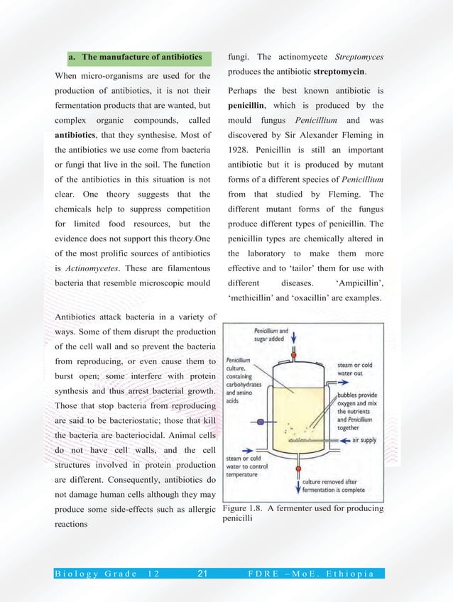 G12-Biology-STB-2023-web text for students | PDF | Brain and Nervous ...