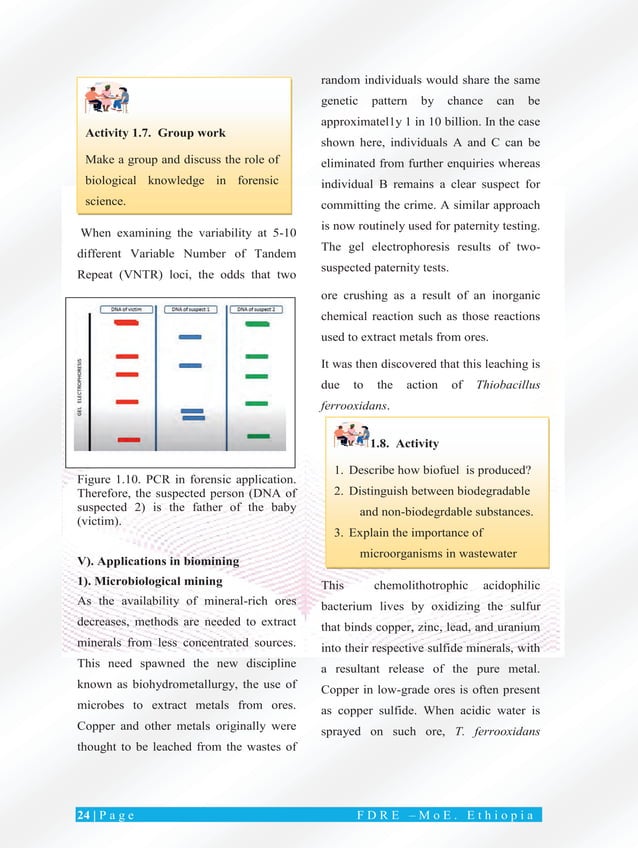 G12-Biology-STB-2023-web text for students | PDF | Brain and Nervous ...