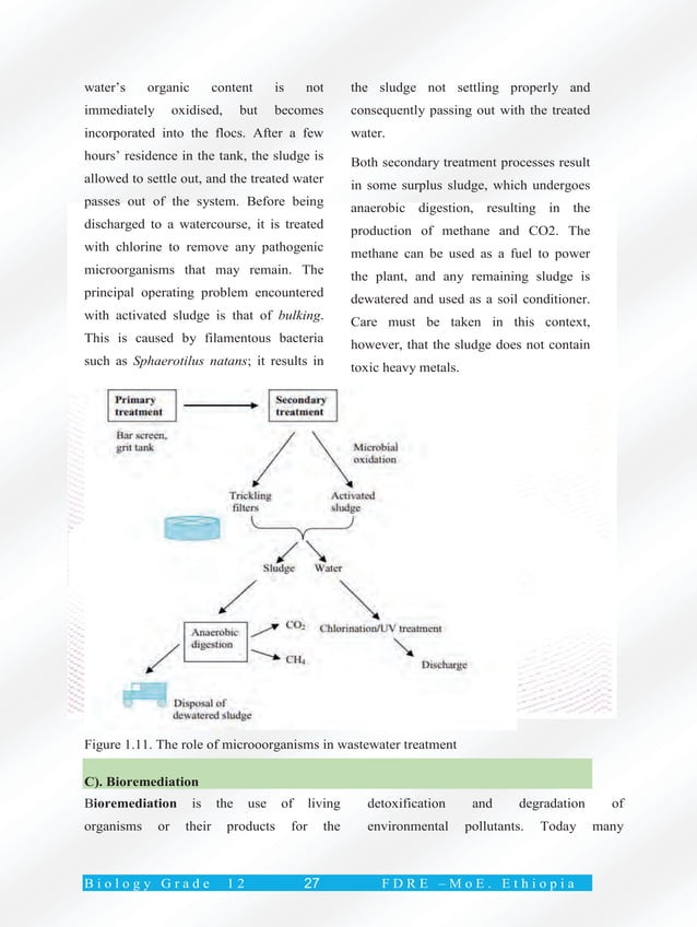 G12-Biology-STB-2023-web text for students | PDF | Brain and Nervous ...